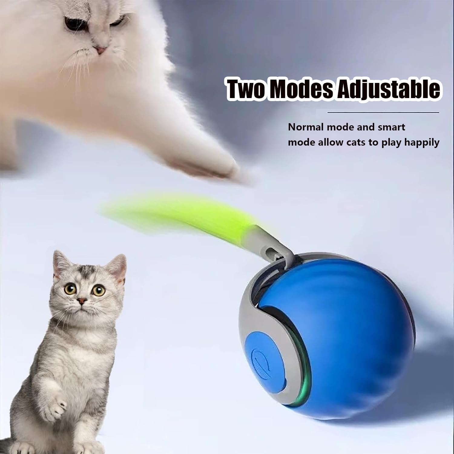 And Kittens Speed Cat Speed