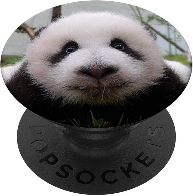 Amazon.com: Cute Baby Panda Bear Pop Mount Socket PopSockets PopGrip ...