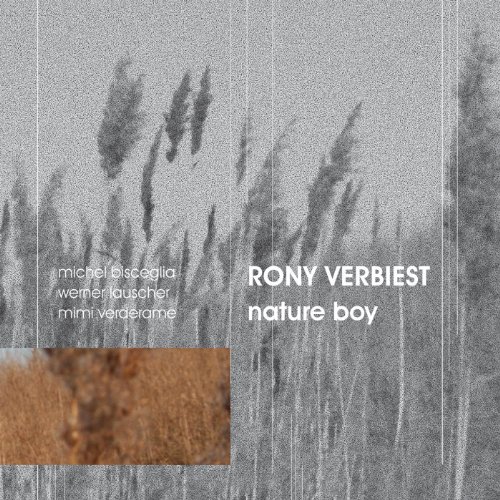 Play Nature Boy by Rony Verbiest on Amazon Music