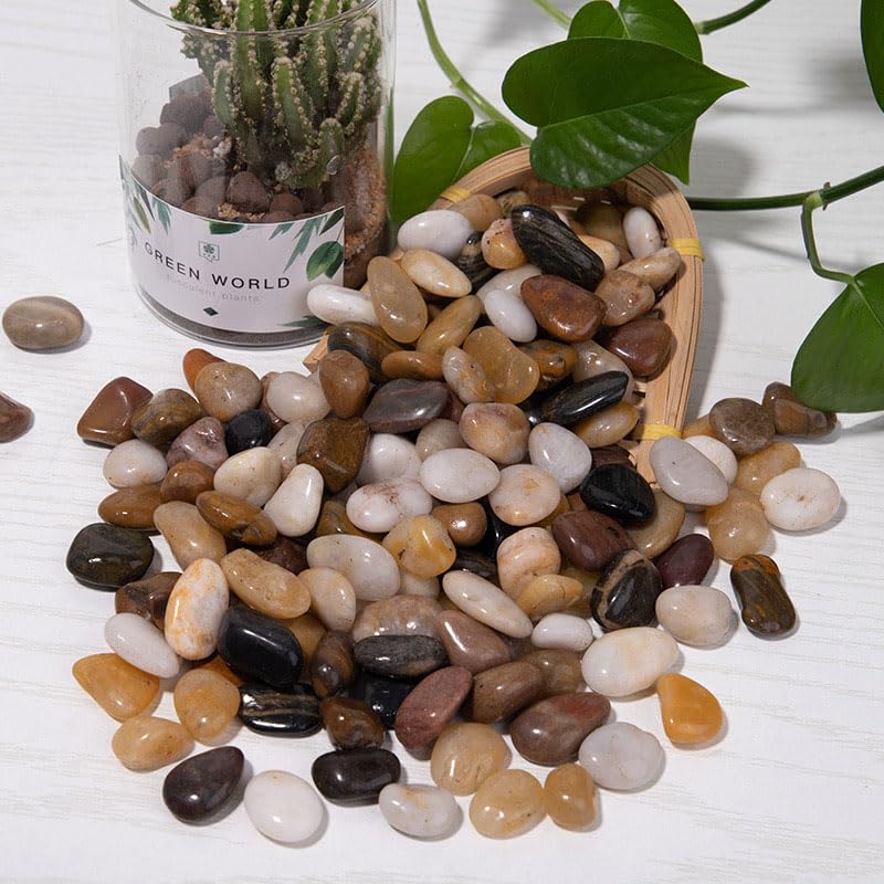 Natural Pebbles Rocks for Landscaping and Garden Decor - Assorted ...