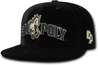Amazon.com: University of Cal State Poly Mustangs Velvet NCAA Retro ...