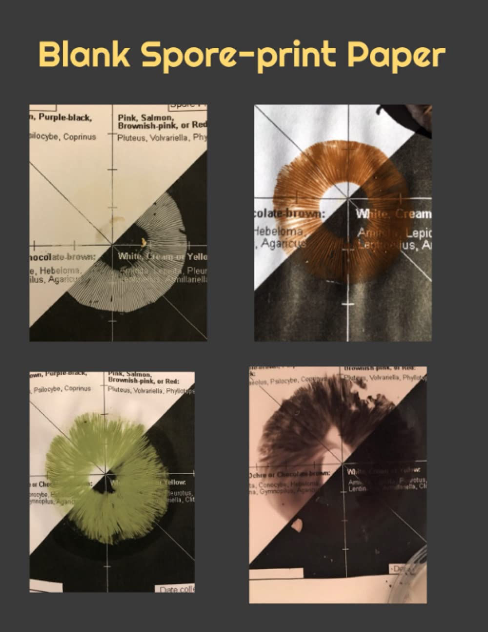 Blank Spore-Print Paper: For Mushroom Lovers: Evans, Mark ...