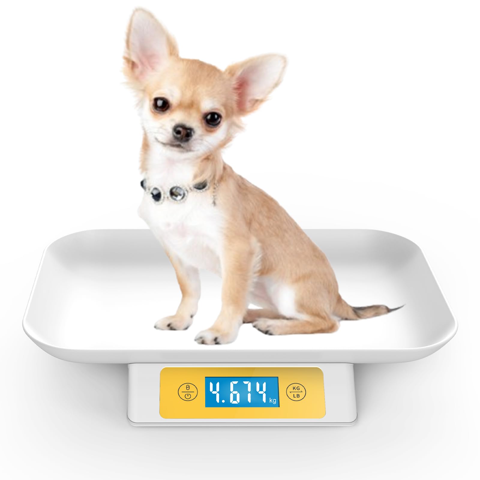 Amazon.com : MINDPET-MED Puppy Scale for Whelping Dogs, Capacity up to ...