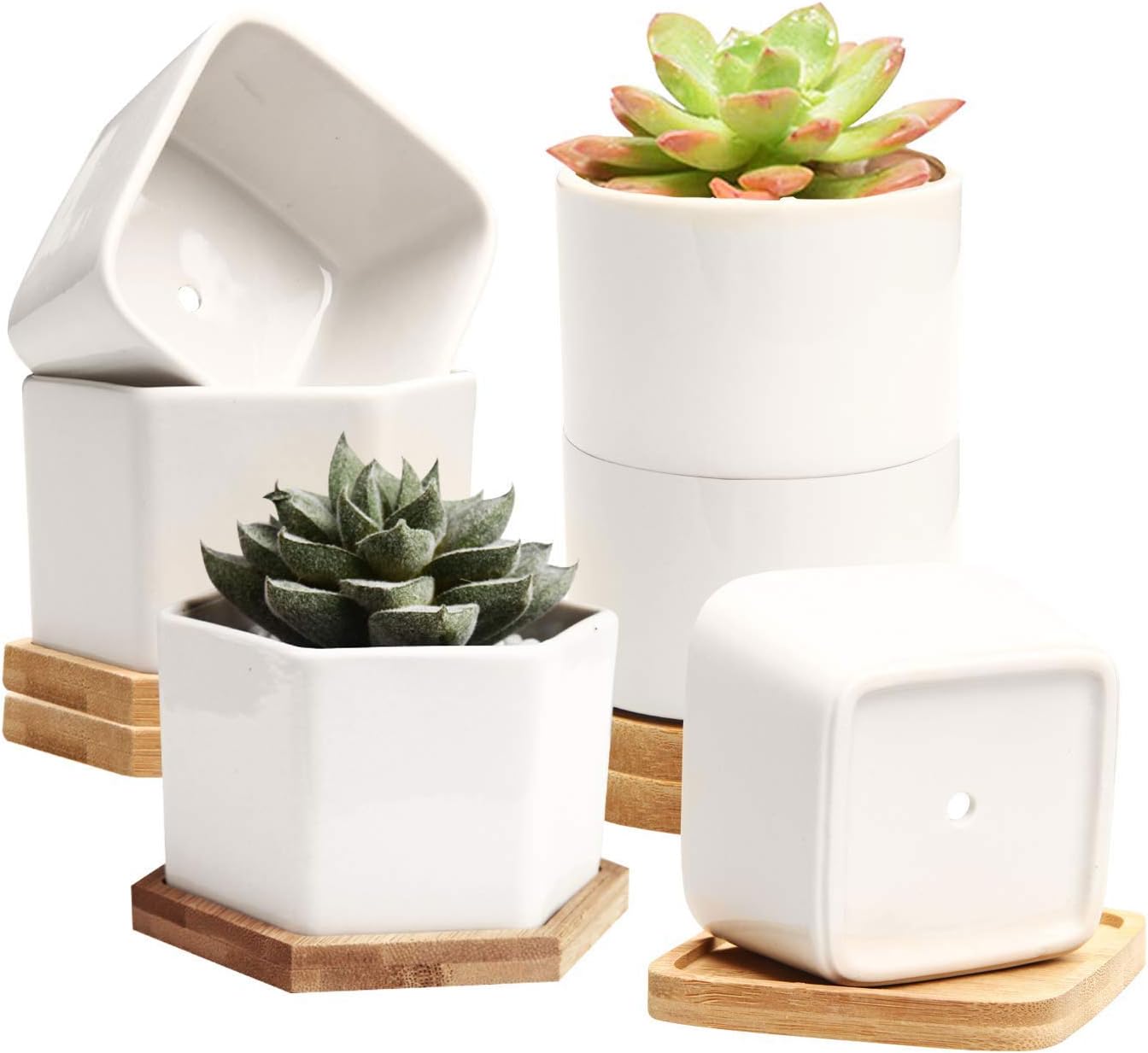 Amazon.com: Small Succulent Pots,Ceramic Planter Pots,Mini Flower Pots ...