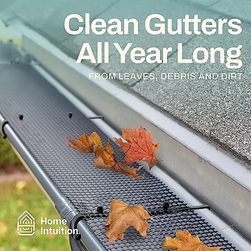 Snapklik.com : Home Intuition 2-Pack Leader And Gutter Guard From Leaves
