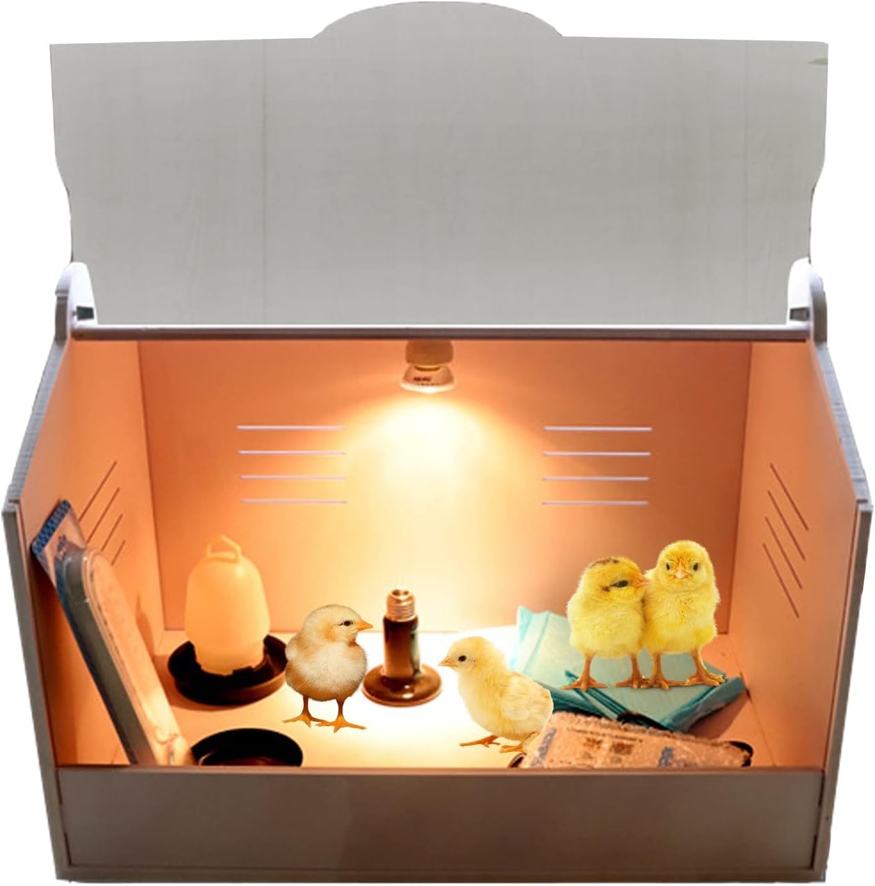 TEmkIn Chick Brooder with Bulb Set and Thermometer Pet Pee Pad Heat, Hatching Equipment ...