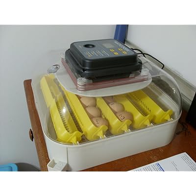 MATICOOPX 30 Egg Incubator with Humidity Display, Nepal | Ubuy