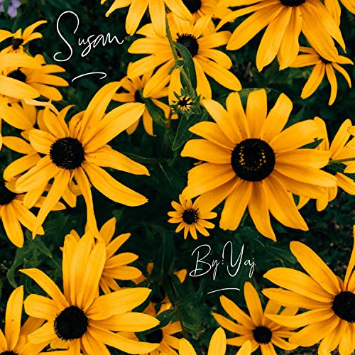 Amazon.com: Susan : Forest Gabriel: Digital Music