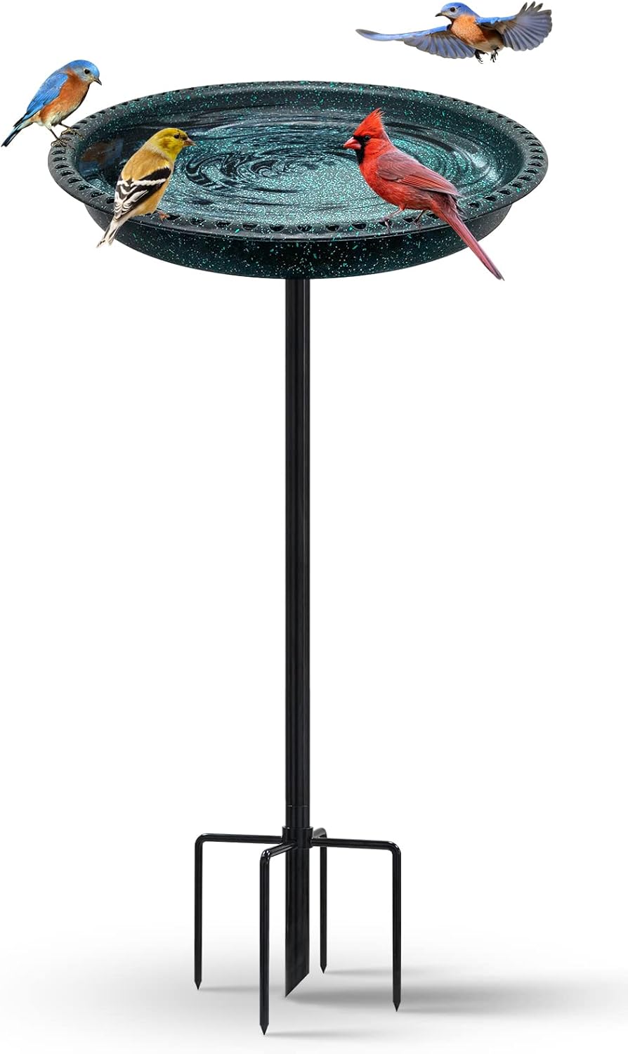 Amazon.com: BIRD WISH Bird Bath, Upgraded 5-Prong Heavy Duty Plastic ...
