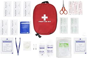 Amazon.com: Portable First Aid Kit Bag Waterproof Durable Oxford Small ...