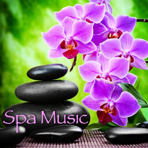 Amazon.com: Spa Music - Beautiful Harp Songs for Relaxation and Healing ...