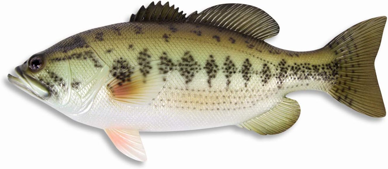 Amazon.com: LX Handpainted Large Mouth Bass Wall Mount Decor Plaque ...