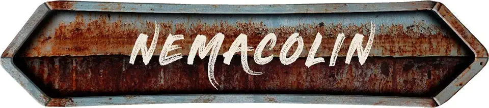 13 Fun Activities To Experience At Nemacolin Resort | QuartzMountain