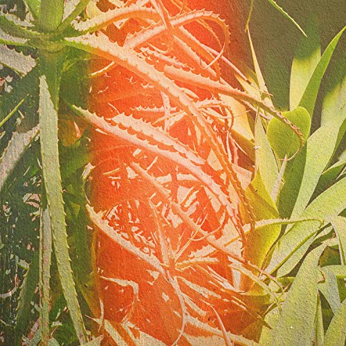 Amazon.co.jp: Portrait of a Vision : Brian James Griffith: Digital Music