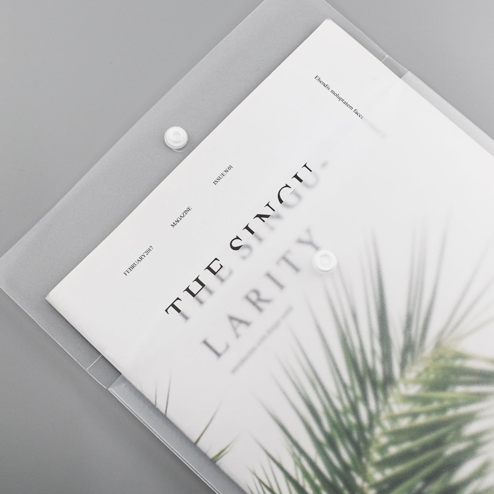 Snapklik.com : VANRA Vertical File Folders Poly Filing Envelope Plastic ...
