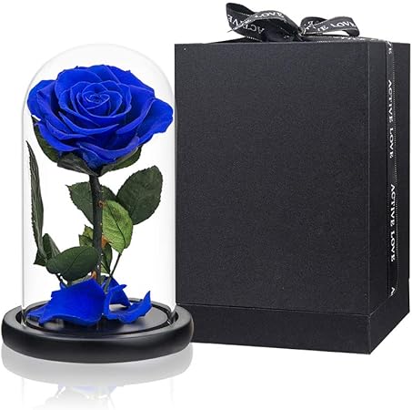 Amazon.com: Preserved Roses Royal Blue Roses in Glass Dome, Medium ...