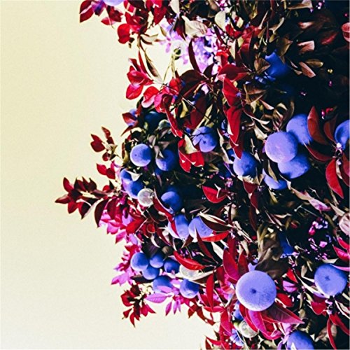 Play Roadblock by Panic Baby on Amazon Music