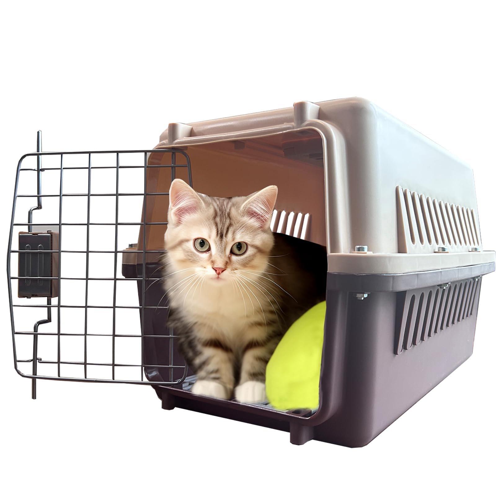 Amazon.com : Valley Forest Gatitos Cats and Dogs Carrier M Size Pet ...