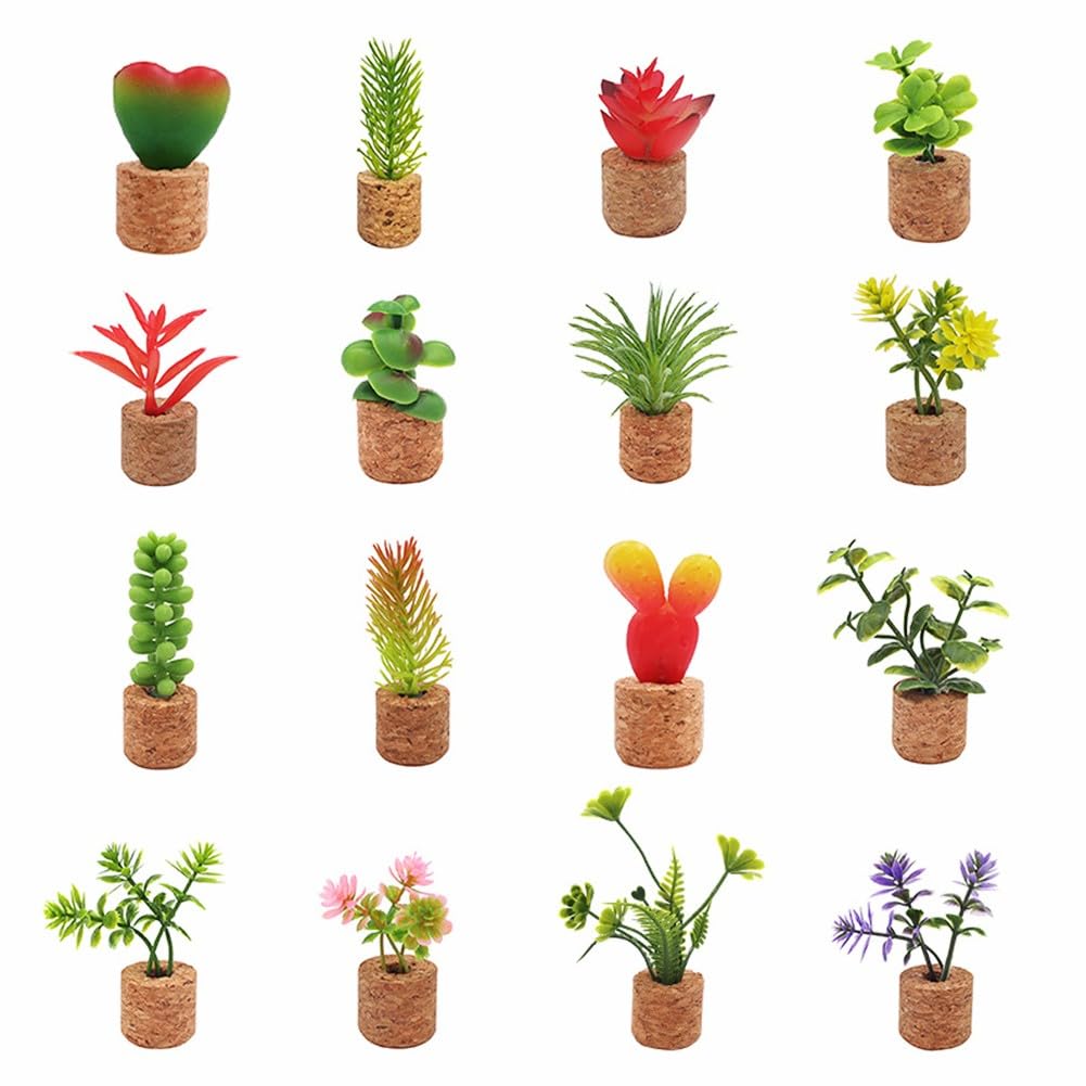 Amazon.com: 16 PCS Plant Fridge Magnets Creative Mini Succulent ...