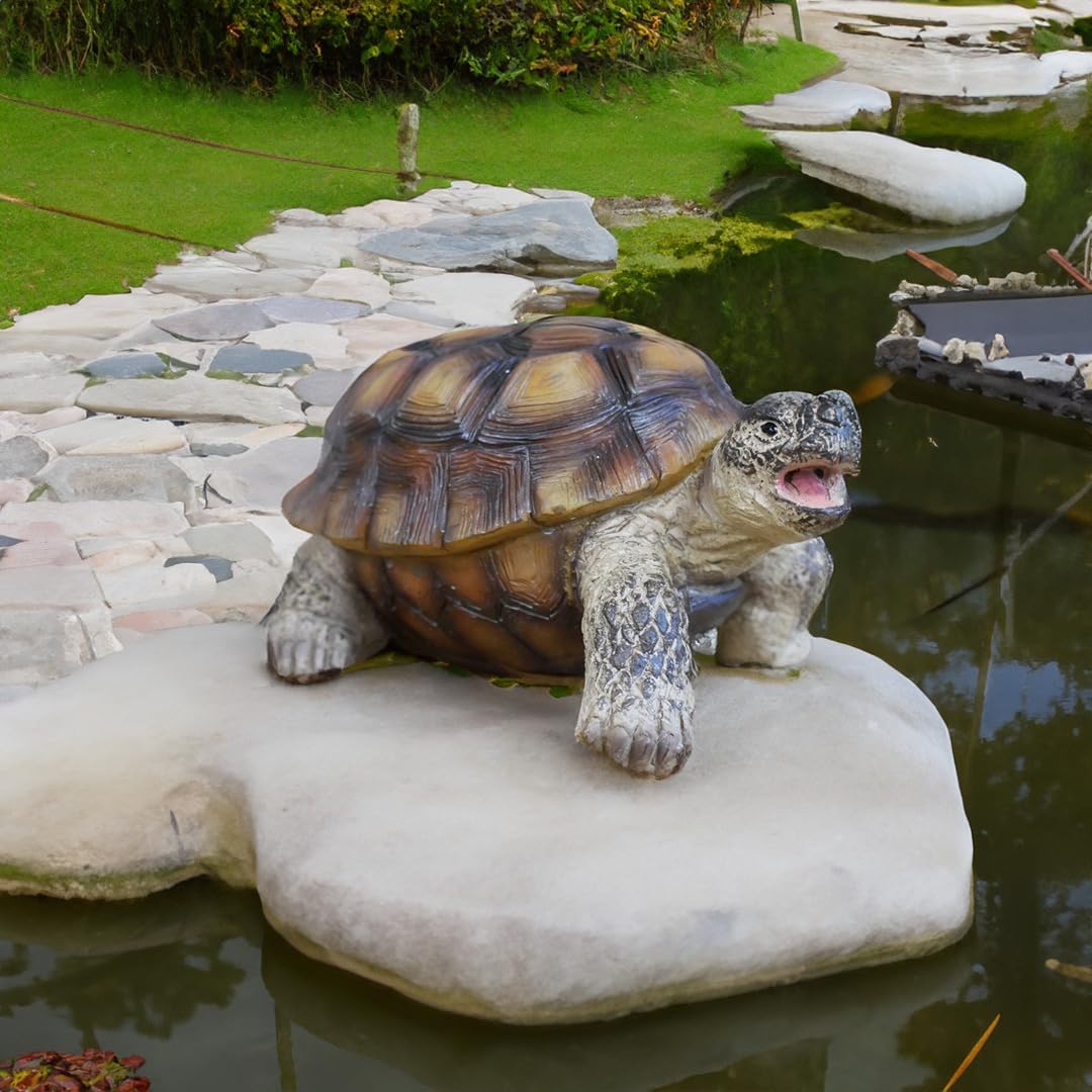 Vivid Arts Real Life Giant Tortoise (Extra Large) : Amazon.co.uk: Garden