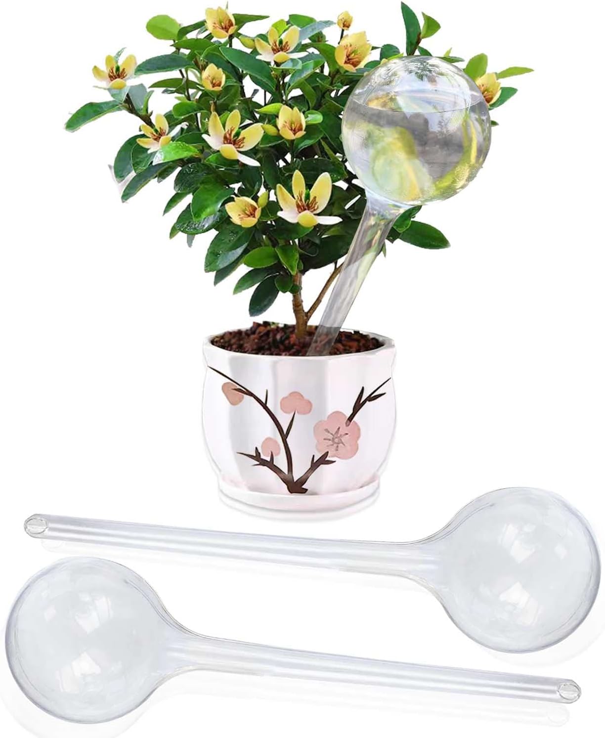 Amazon.com : Plant Self Watering Stakes, 10pcs Clear Plant Self ...