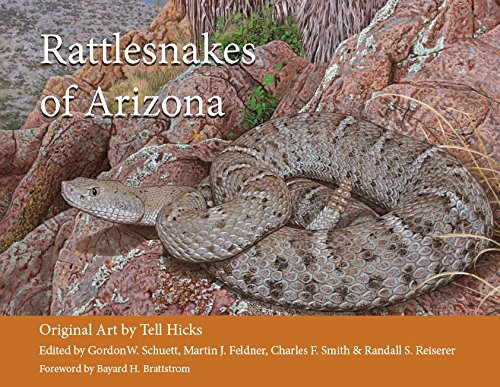 Rattlesnakes of Arizona: 22 Authors: 9781938850189: Amazon.com: Books