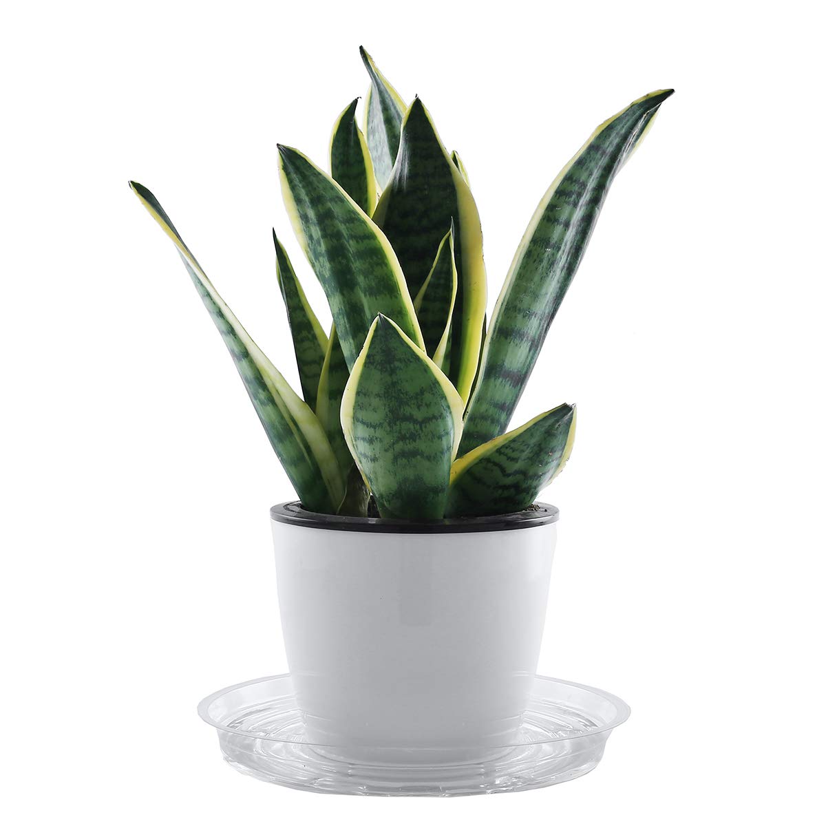 Snapklik.com : UltraOutlet 20 Pack Clear Plastic Plant Saucer Drip ...