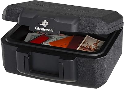 SentrySafe Black Fireproof and Waterproof Safe, File Folder and ...