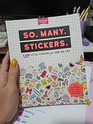 So. Many. Stickers.: 2,500 Little Stickers for Your Big Life | Amazon ...