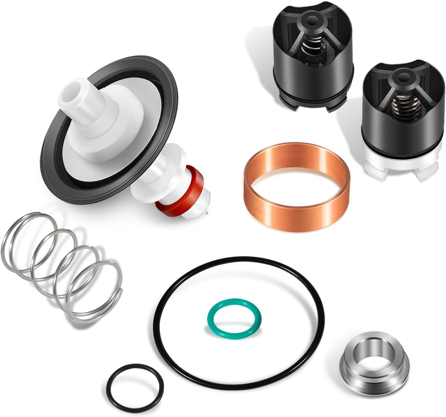 0887298 Total Repair Kit Replacement for watts LF009/009 series Reduced ...