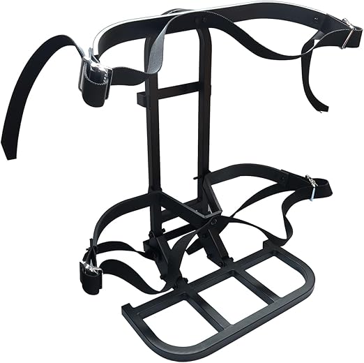 Amazon.com : PeekeyNOx Universal Golf Cart Rear Seat Bag Holder for ...