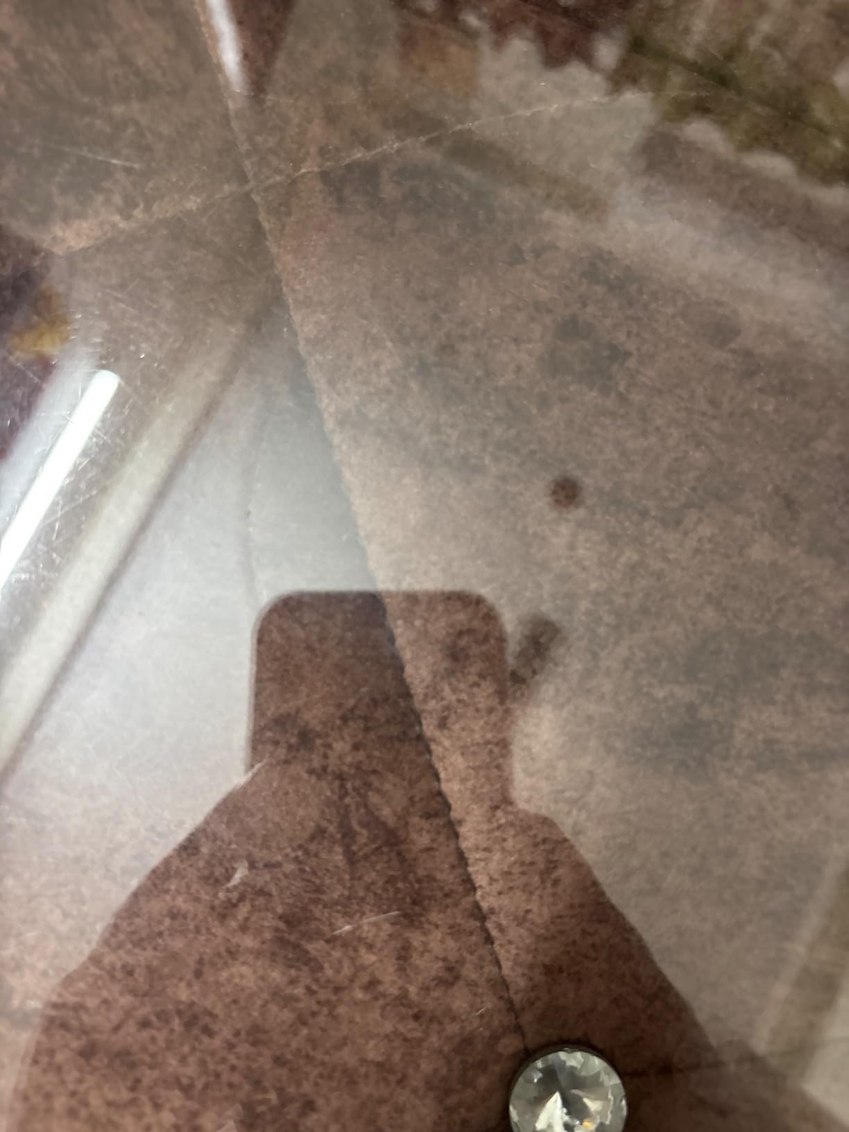 Pidilite Terminator Eco-Friendly Termite Killer Refill Pack | Wood ...