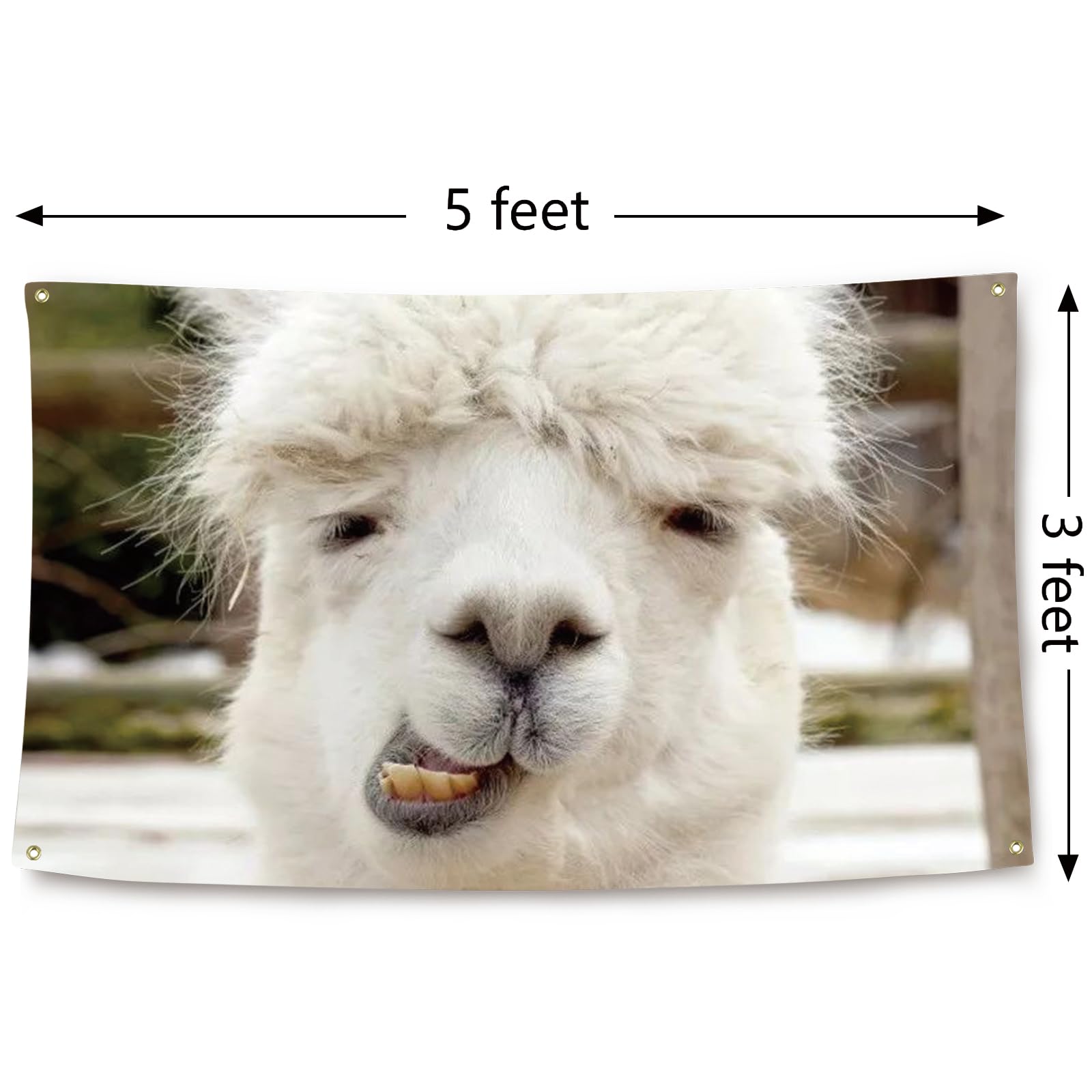 Funny Alpaca Memes Alpaca Meme Art Prints For Sale | Redbubble
