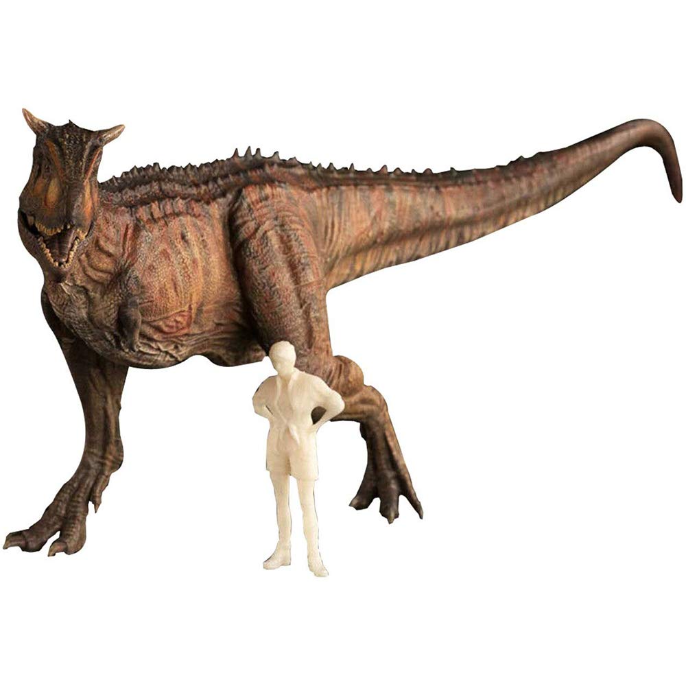 Carnotaurus Size