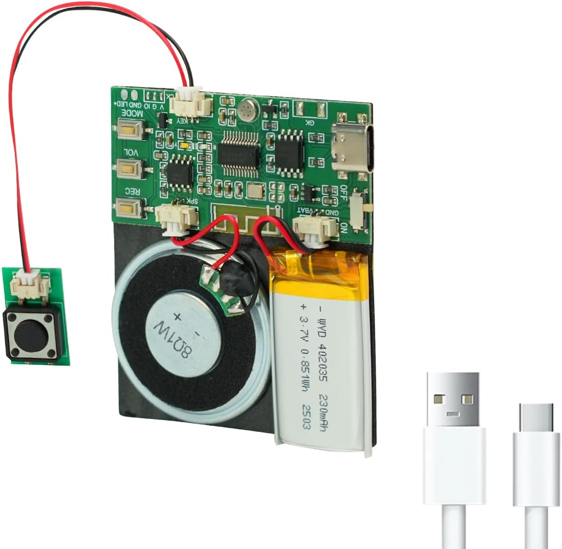 Amazon.com: Sound Module, Support Bluetooth & MIC Recording Audio, 8MB ...