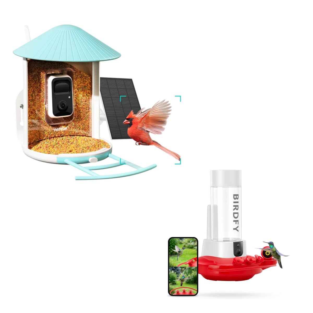 Amazon.com : NETVUE Birdfy Camera AI Identify Hummingbird Species, Auto ...