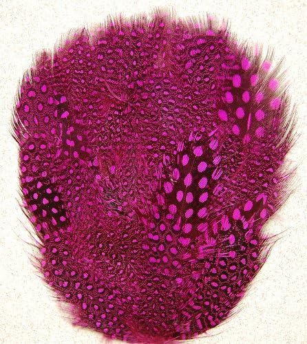 Amazon.com: 6 Pcs Guinea Pheasant Feather Pads - HOT PINK : Arts ...