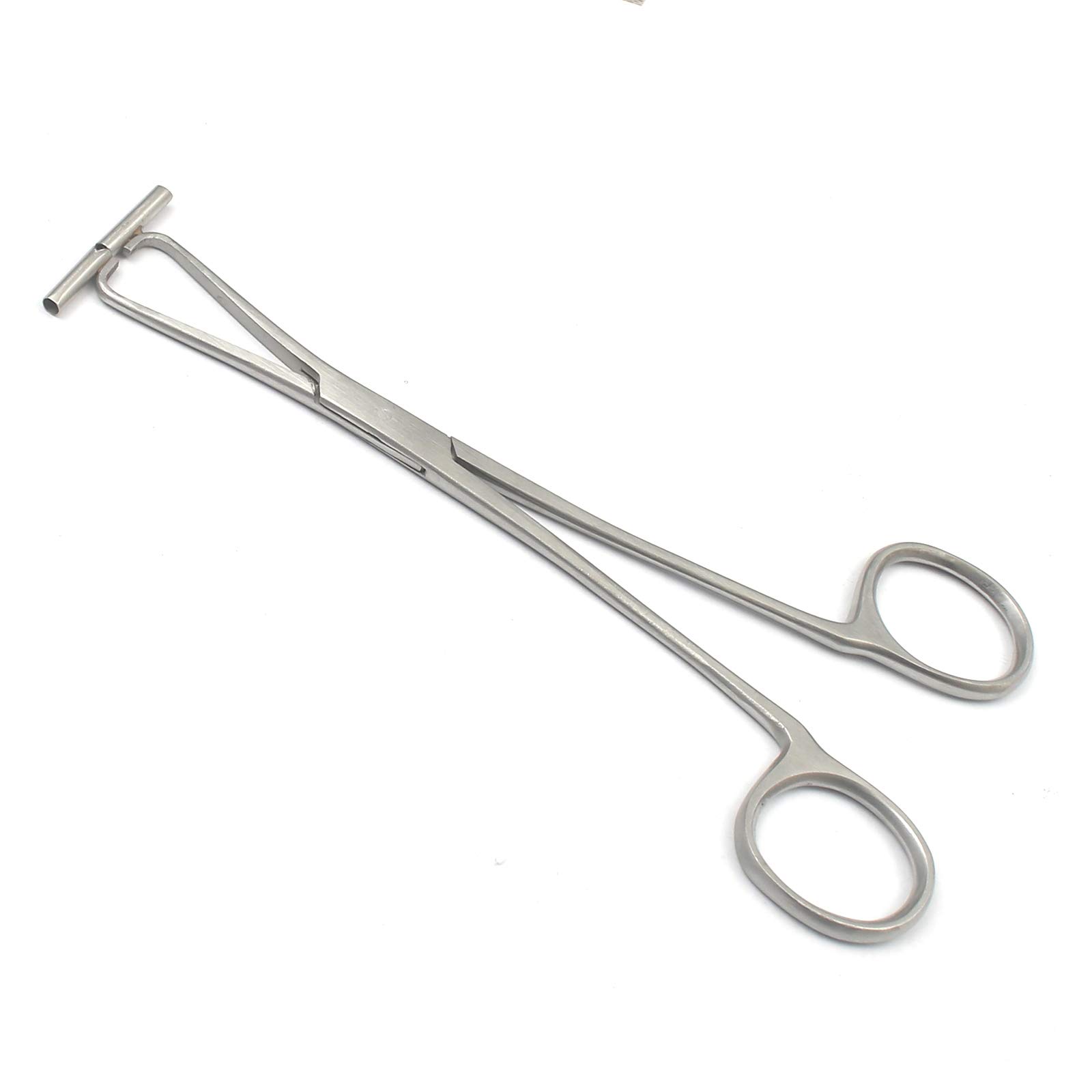 Amazon.com: AAProTools Stainless Steel Septum Ring Piercing Clamp ...