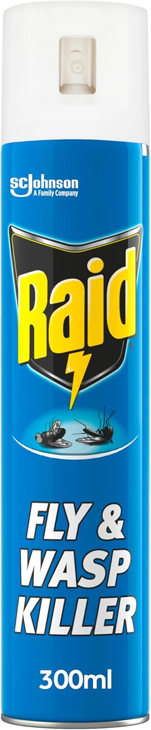 Raid Rapid Action Fly & Wasp Killer, Fly Killer Spray For Indoor Use ...