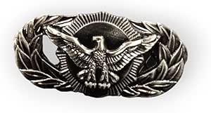 Amazon.com: New Lapel Pin "Usaf Security Police Basic " Pewter 1-5/8 ...