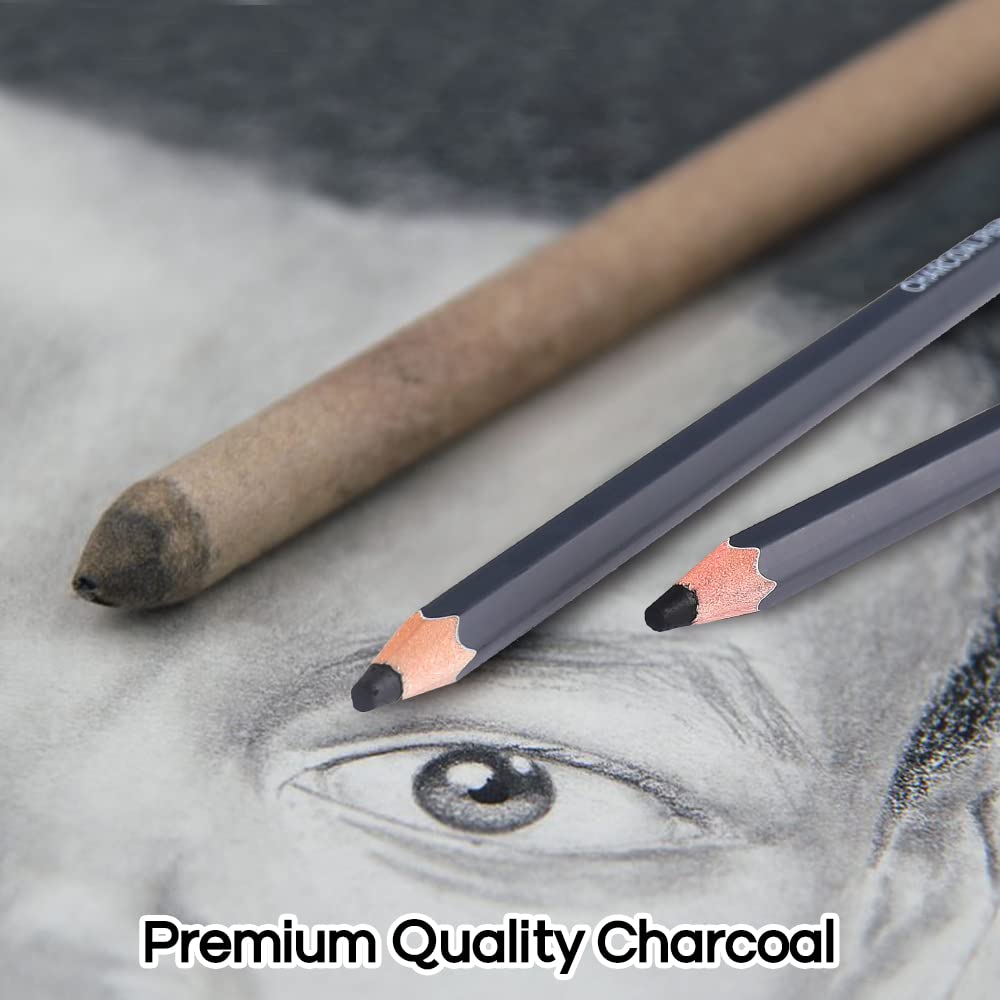 Snapklik.com : Dyvicl Professional Charcoal Pencils Drawing Set - 12 ...