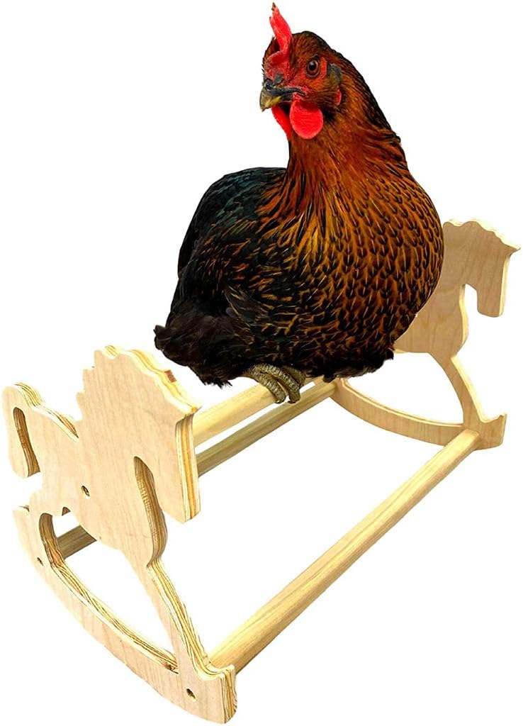 Amazon.com : ouquckl Chicken Feeder, Chicken Roosting Perch Rocking ...
