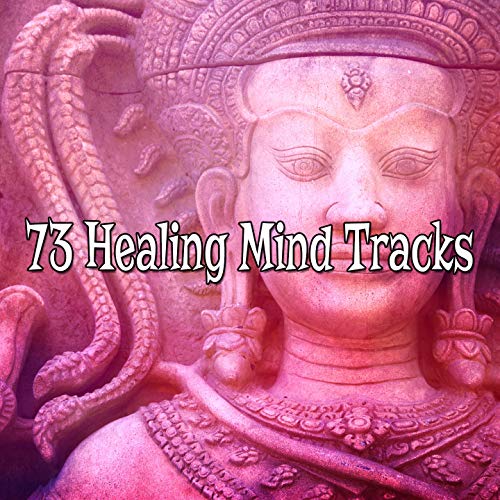 Amazon MusicでStudy Concentrationの73 Healing Mind Tracksを再生する