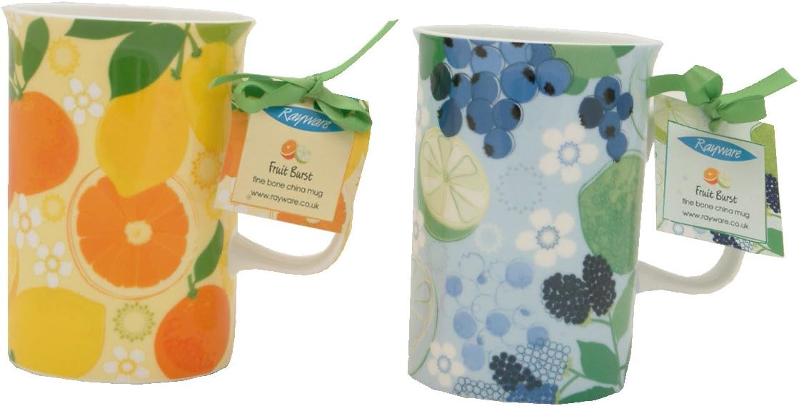 Amazon.com: RAYWARE FRUIT BURST ASSORTED BONE CHINA MUGS SET OF 6 0043.740