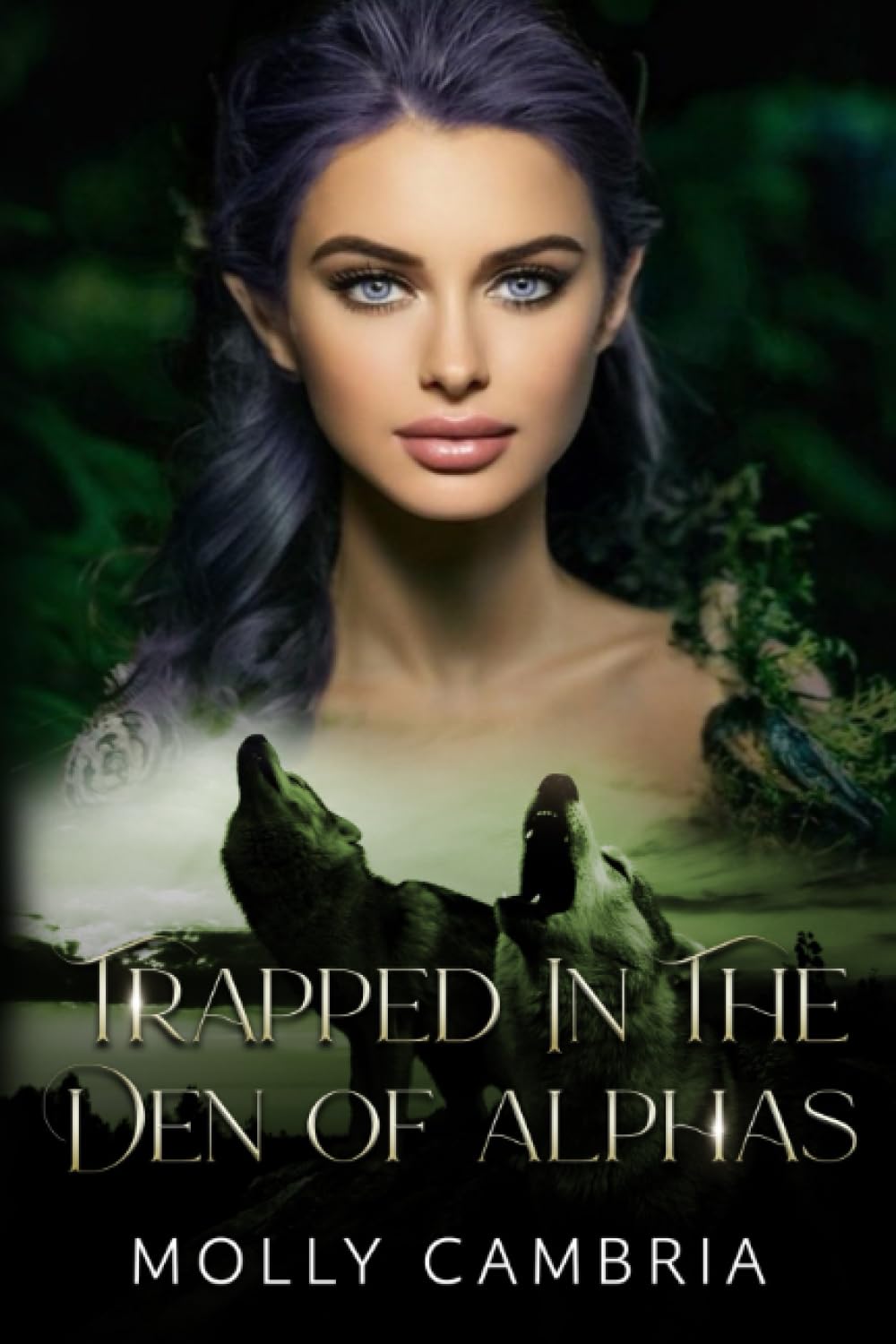 Amazon.com: Trapped in the Den of Alphas (The Trapped Series ...