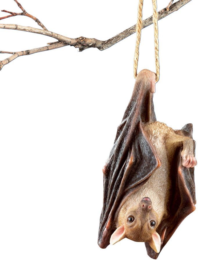 Amazon.com: Collections Etc Halloween Hanging Swinging Bat with ...