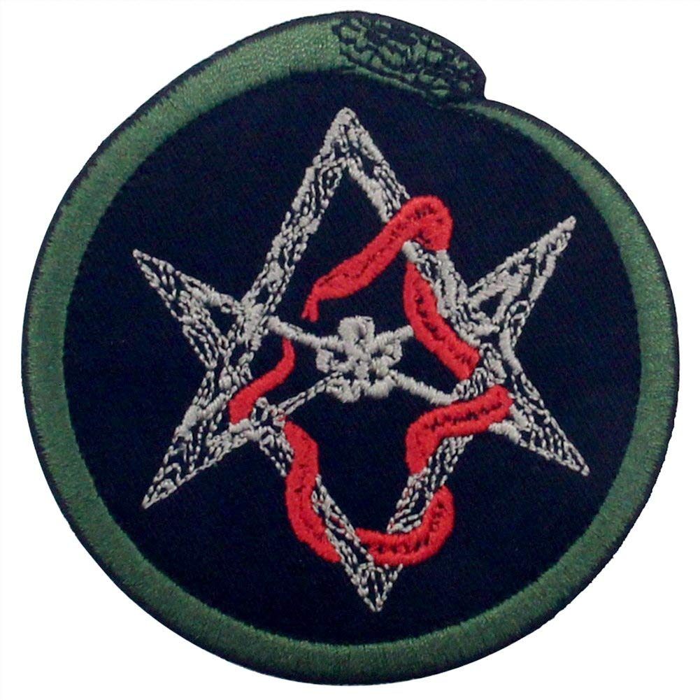Amazon.com: Ouroboros Patch Embroidered Applique Badge Iron On Sew On Emblem : Arts, Crafts & Sewing