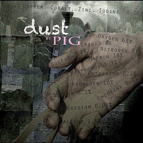 Amazon.com: Dust : Pig: Digital Music