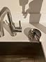 Delta GR150-SP, SpotShield Stainless Glass Rinser, Standard : Amazon.co ...