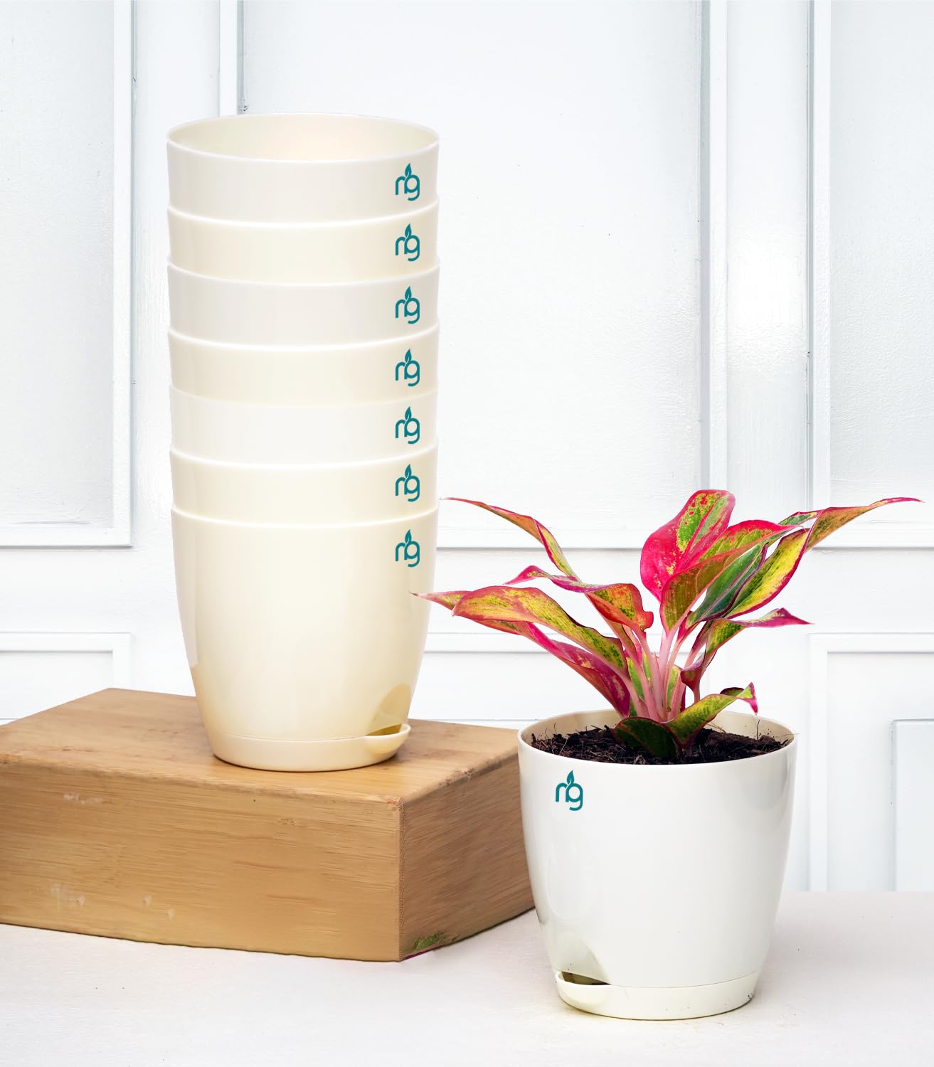Nurturing Green® Combo of 8 Ivory Self Watering Plastic Pots with ...